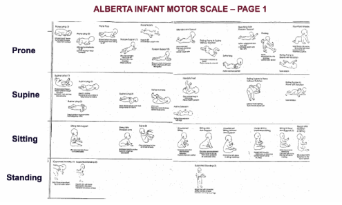 AIMS-Alberta Infant Motor Scale :: Escalas De Función y La Funcionalidad