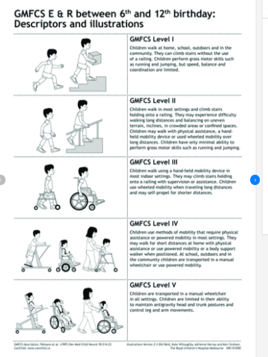GMFS-Gross Motor Function Classification System :: Escalas De Función y ...